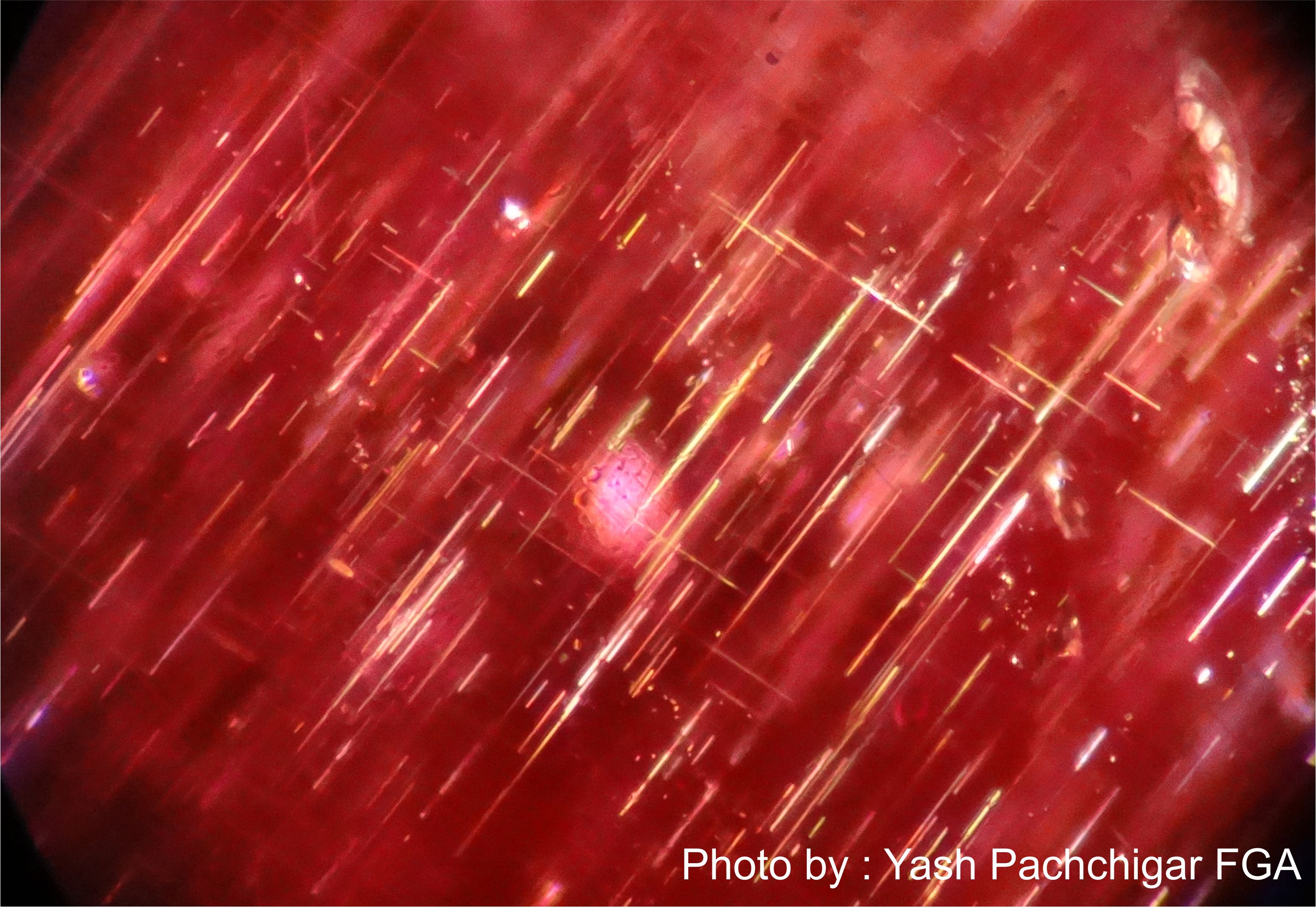 Transnational Gemmological Laboratory